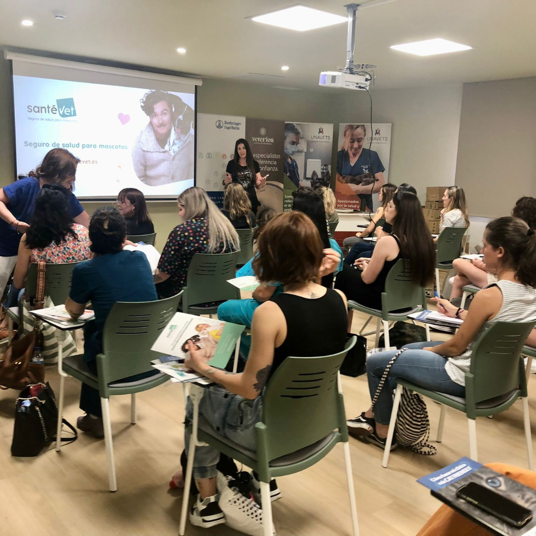 Resumen de las formaciones de OneAcademy de UNAVETS en el mes de junio